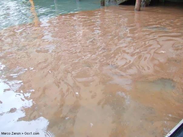 Photos of pollution in Venice