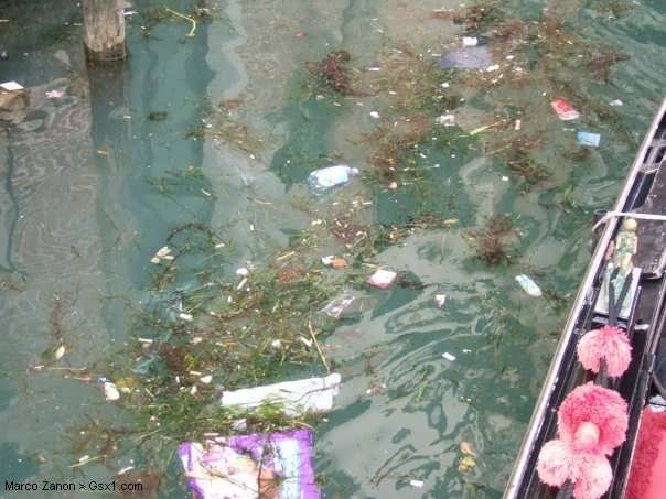Photos of pollution in Venice