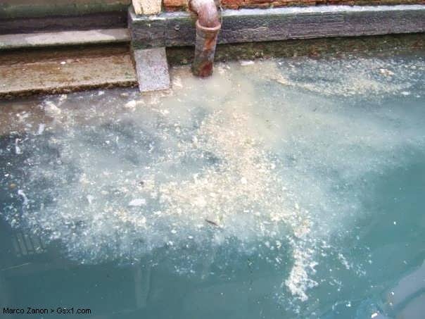Photos of pollution in Venice