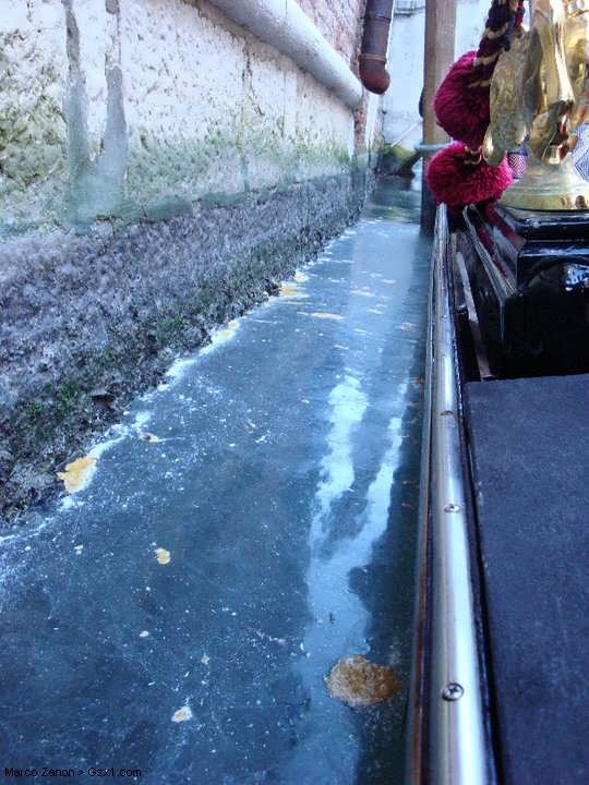 Photos of pollution in Venice