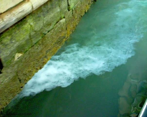 Photogallery of Pollution in Venice