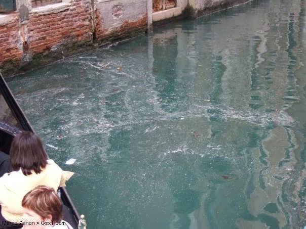 Photos of pollution in Venice