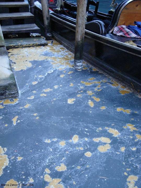 Photos of pollution in Venice